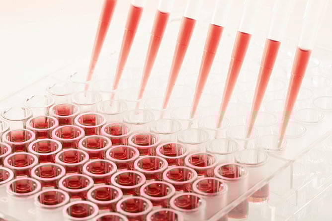 CANDOR Bioscience | Medix Biochemica